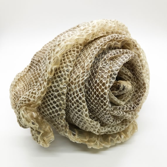 Snake Skin Shed Boa Constrictor - Etsy