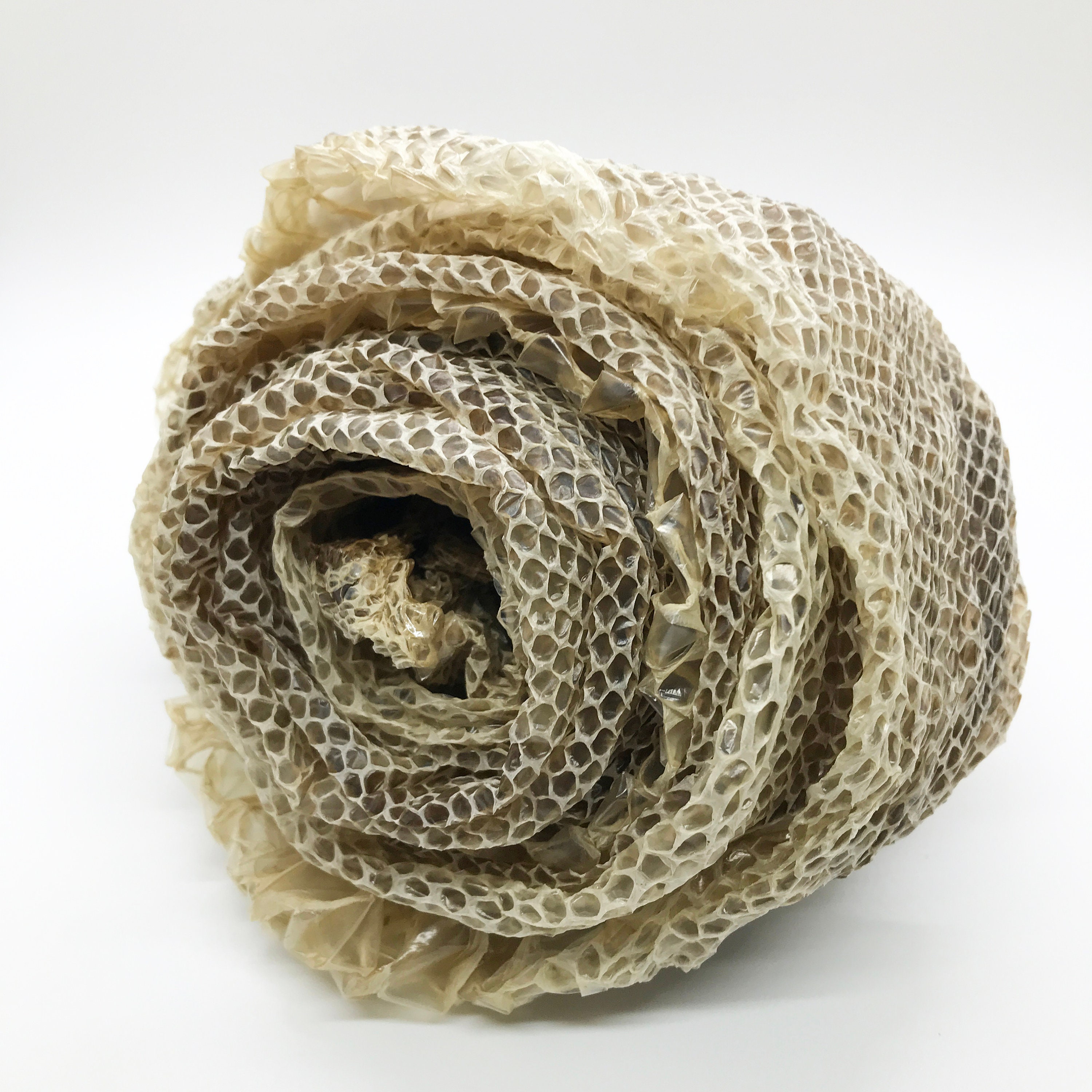 Snake Skin Shed Boa Constrictor - Etsy