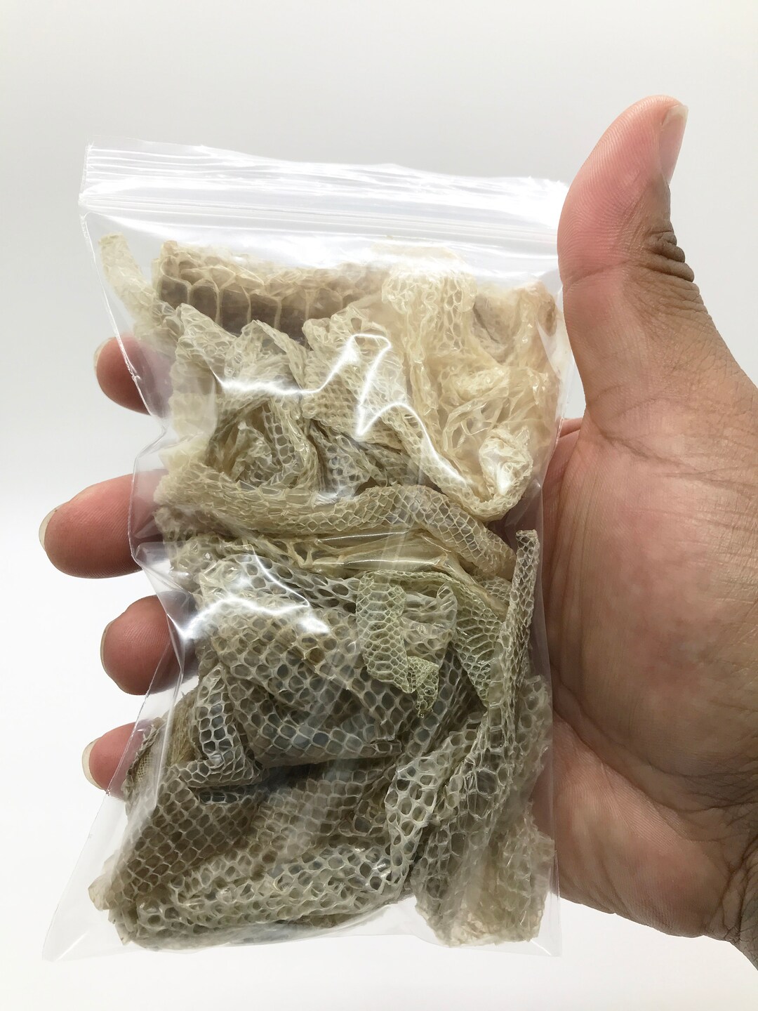 Assorted Snake Shed Skin Boa Constrictor - Etsy