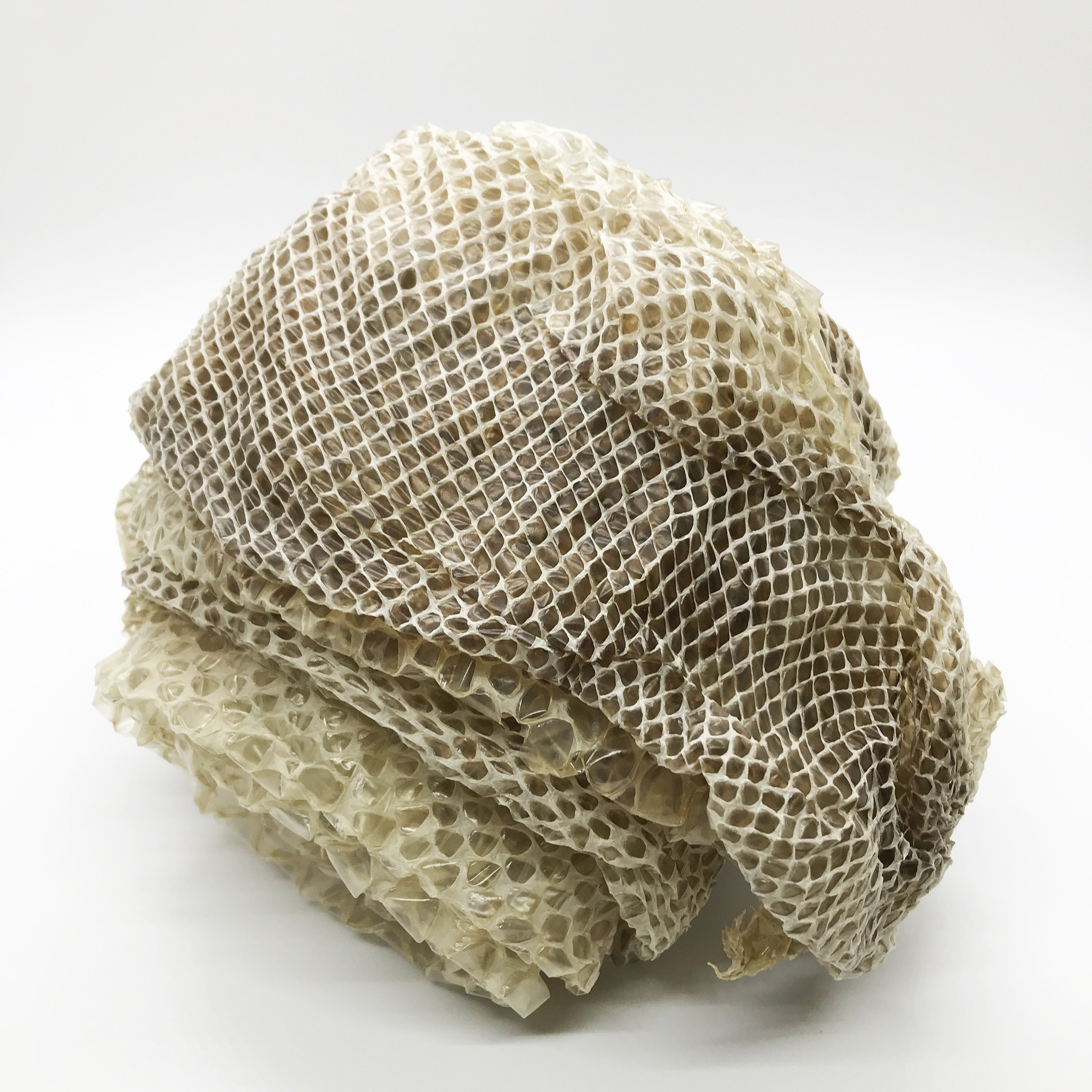 Snake Skin Shed Boa Constrictor - Etsy