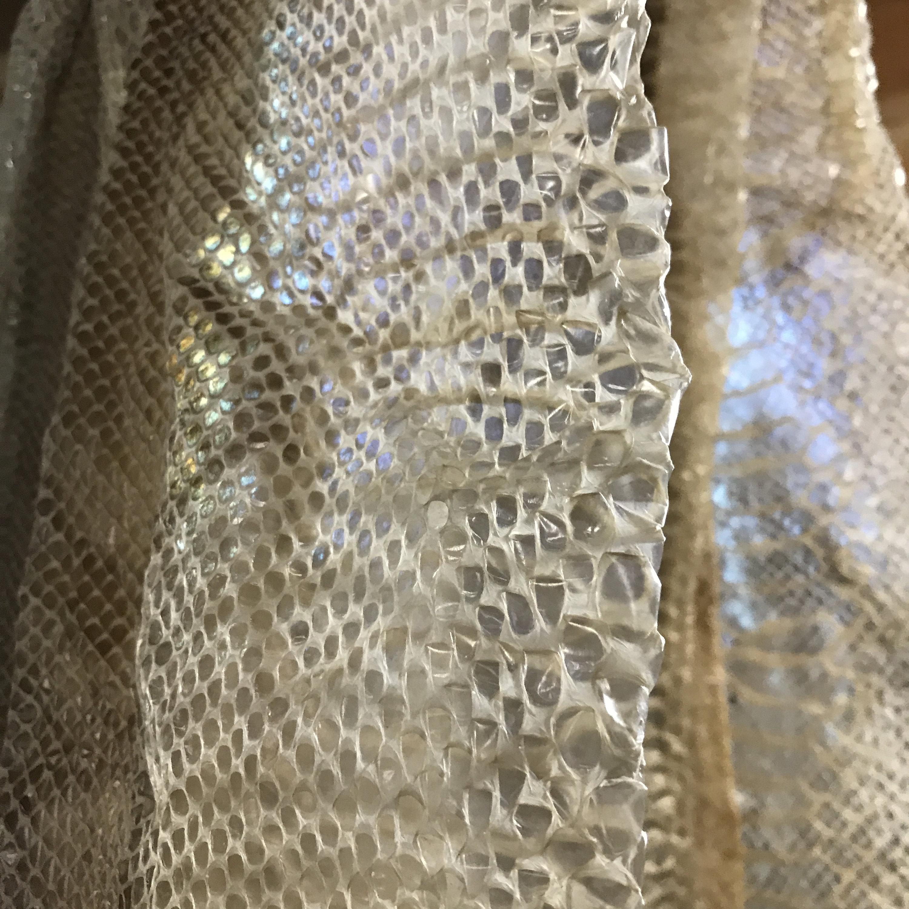 Snake Skin Shed Boa Constrictor - Etsy