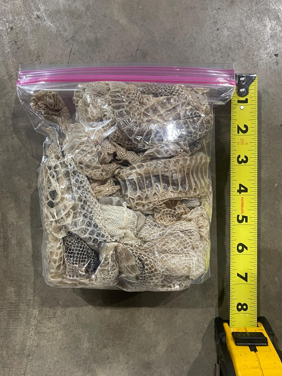 Large Assorted Snake Shed Skin Boa Constrictor - Etsy