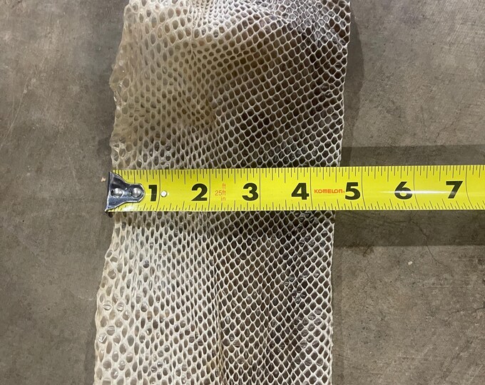 96 Inch (8 Ft.) Fully in Tact Snake Skin Shed Boa Constrictor - Etsy