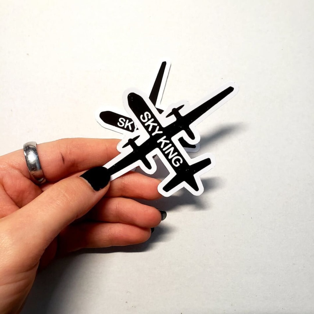 Sky King, Sky King Sticker, Plane Sticker, Airplane Sticker, Meme ...