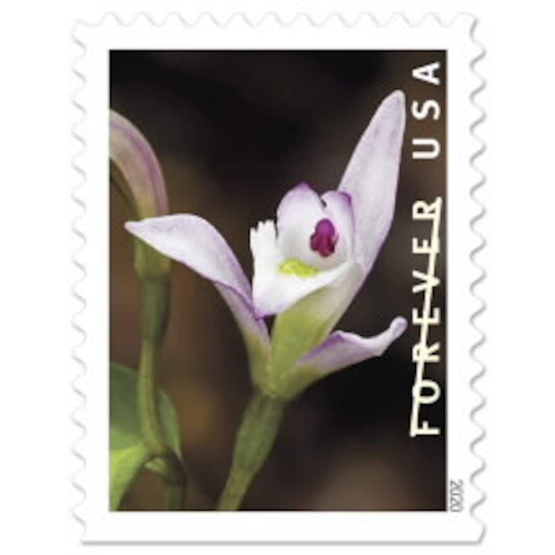 USPS Forever Stamp United States Postal Service Forever Stamp First ...