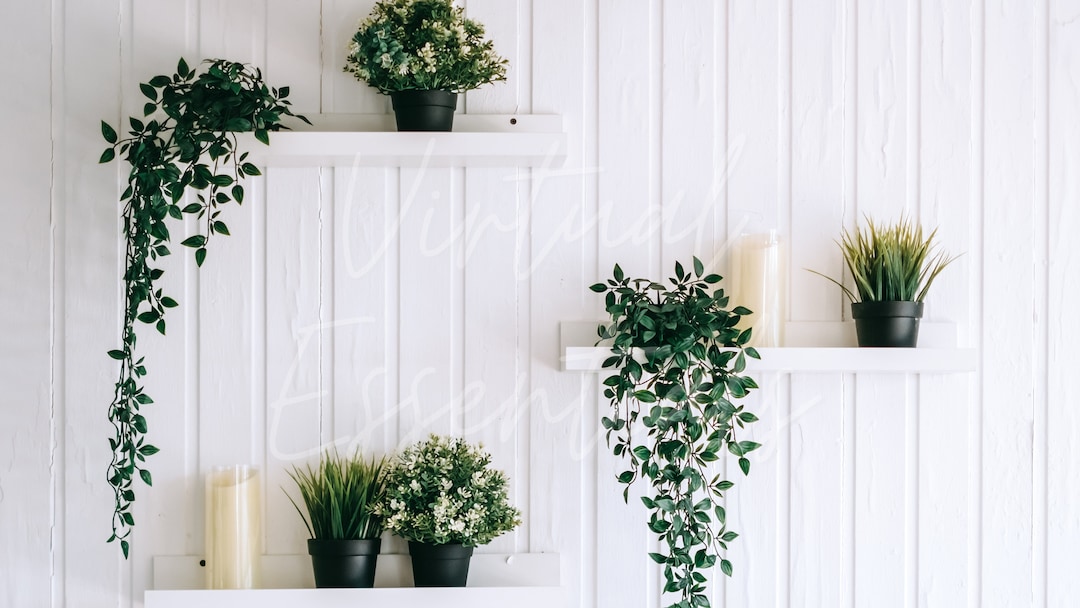 Refreshing Greenery: Lively Zoom Virtual Background - Etsy