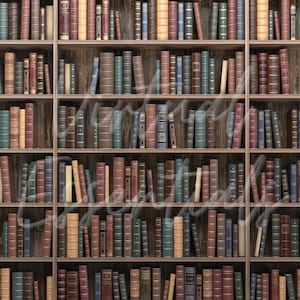 Classic Bookshelf Library - Zoom Virtual Background for Book Lovers - Etsy