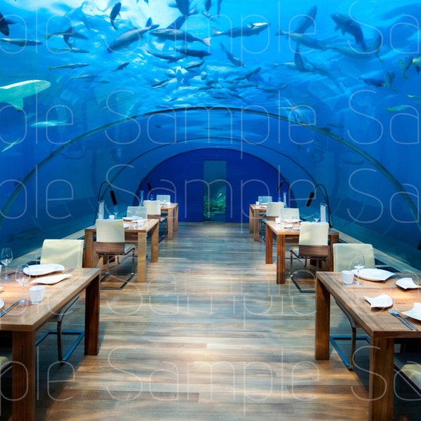 Fish Tank Background - Etsy