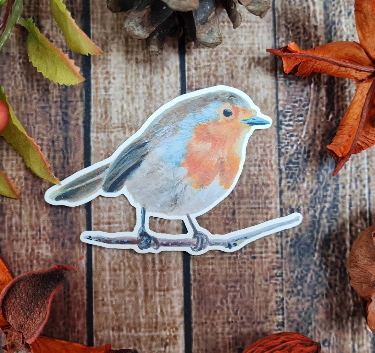 Scrapbook Stickers Robin Gifts Garden Bird Stickers Robin Stickers ...