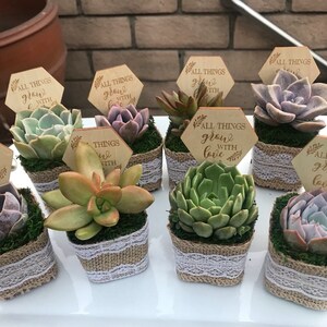 2" Succulent Favors: Burlap Wrapped, "all Things Grow With Love" Sign ...