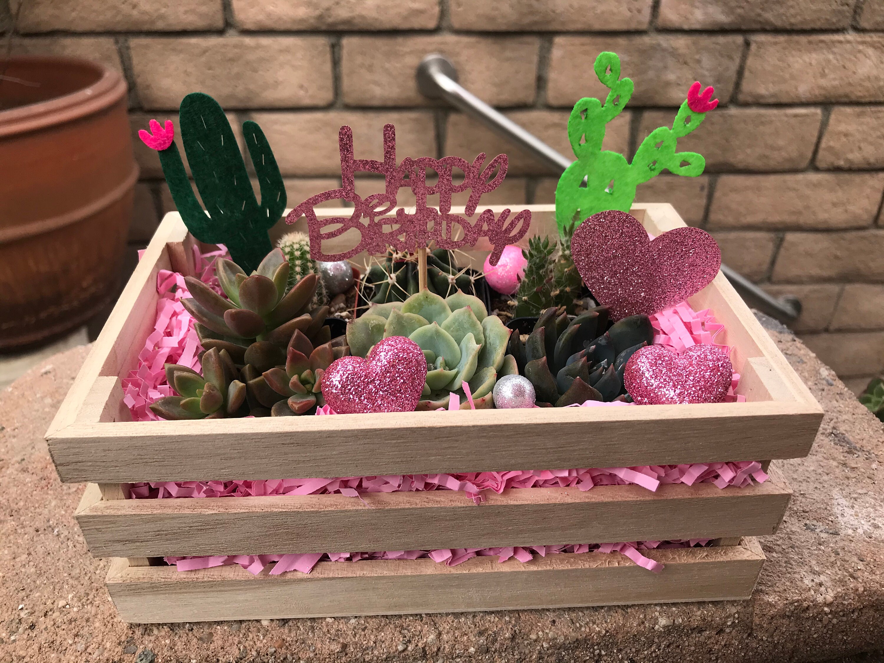 Festive Happy Birthday Succulent & Cacti crate set. Succulent | Etsy