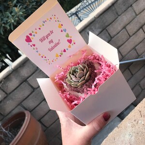 Preorder Handcrafted Mini Heart Succulent Planter, Valentine's Gift Box ...