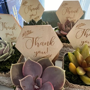 Thank You Succulent Favors: Burlap Wrapped Plant, Corporate Gift ...