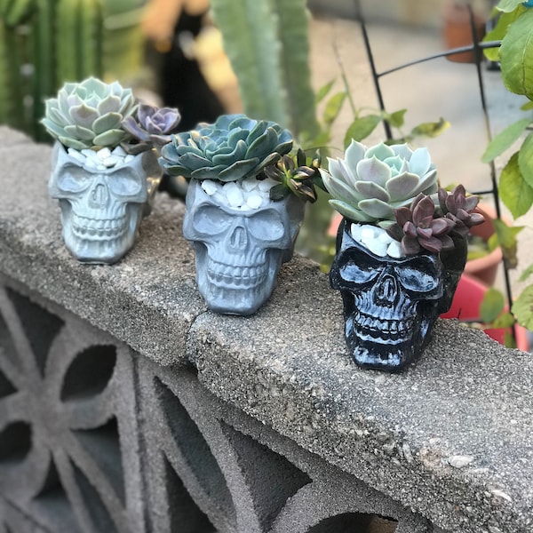 Skull Planter - Etsy