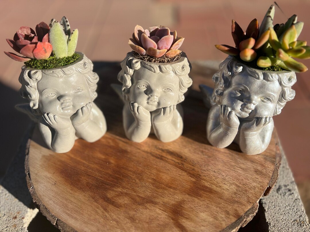 Handcrafted Angel Succulent Planter: Cupid Gift Arrangement - Etsy