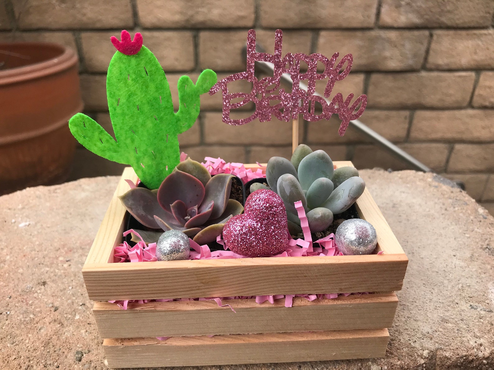 Festive Happy Birthday Succulent & Cacti crate set. Succulent | Etsy
