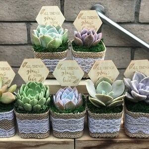 2" Succulent Favors: Burlap Wrapped, "all Things Grow With Love" Sign ...