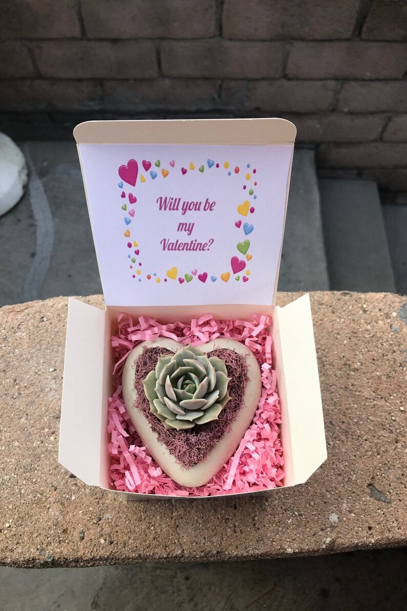 Preorder Handcrafted Mini Heart Succulent Planter, Valentine's Gift Box ...