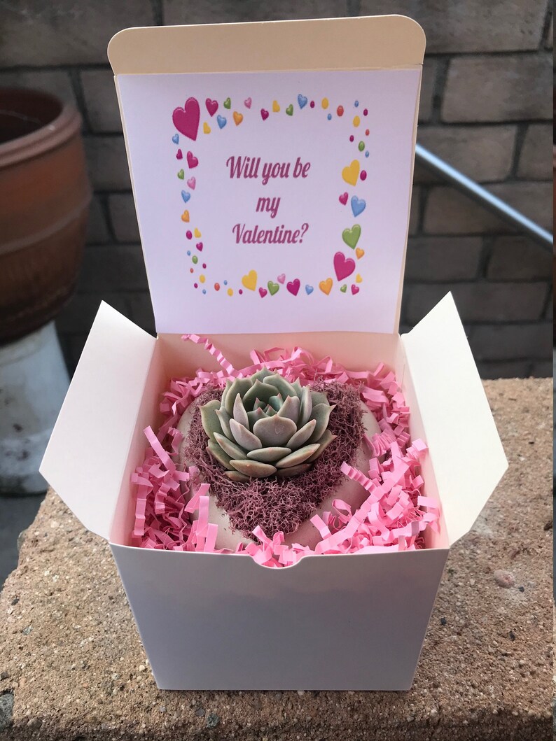 Preorder Handcrafted Mini Heart Succulent Planter, Valentine's Gift Box ...
