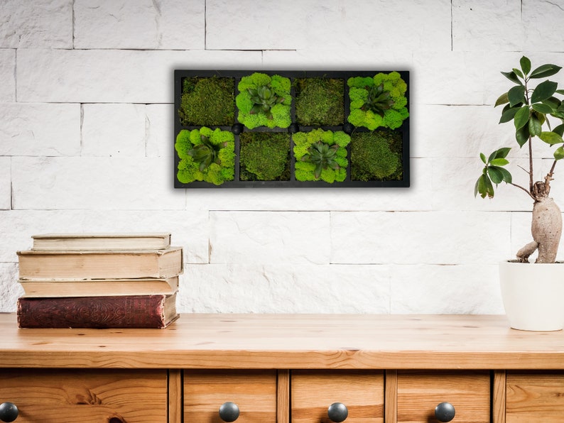 Transom Moss Window for Home, Office, and Dorm, Faux Succulents - Etsy