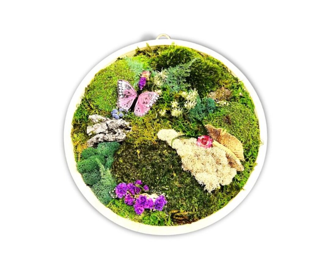 Preserved Moss Art: Spring Fairy Circle With Pink Butterfly - Etsy