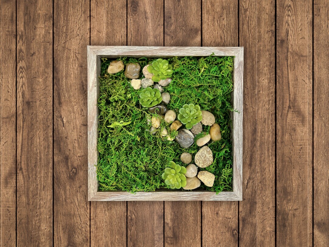 Spring Pebbles Moss Art for Home, Office, or Dorm, Framed Moss, Faux ...
