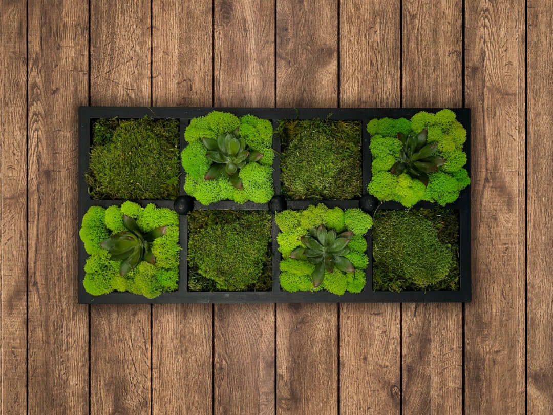 Transom Moss Window for Home, Office, and Dorm, Faux Succulents - Etsy