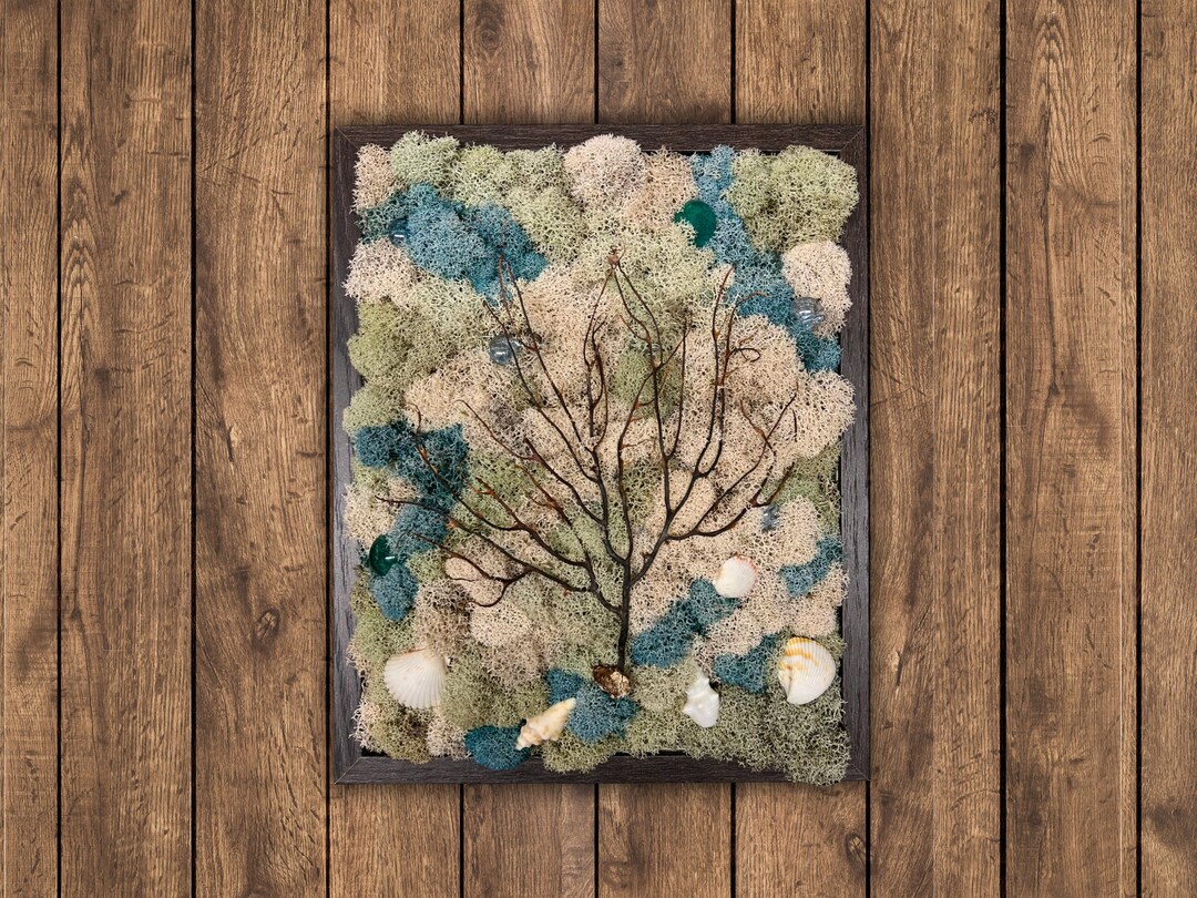 Sea Fan Moss Art, Ocean Inspired Moss Art for Home, Office, and Dorm - Etsy