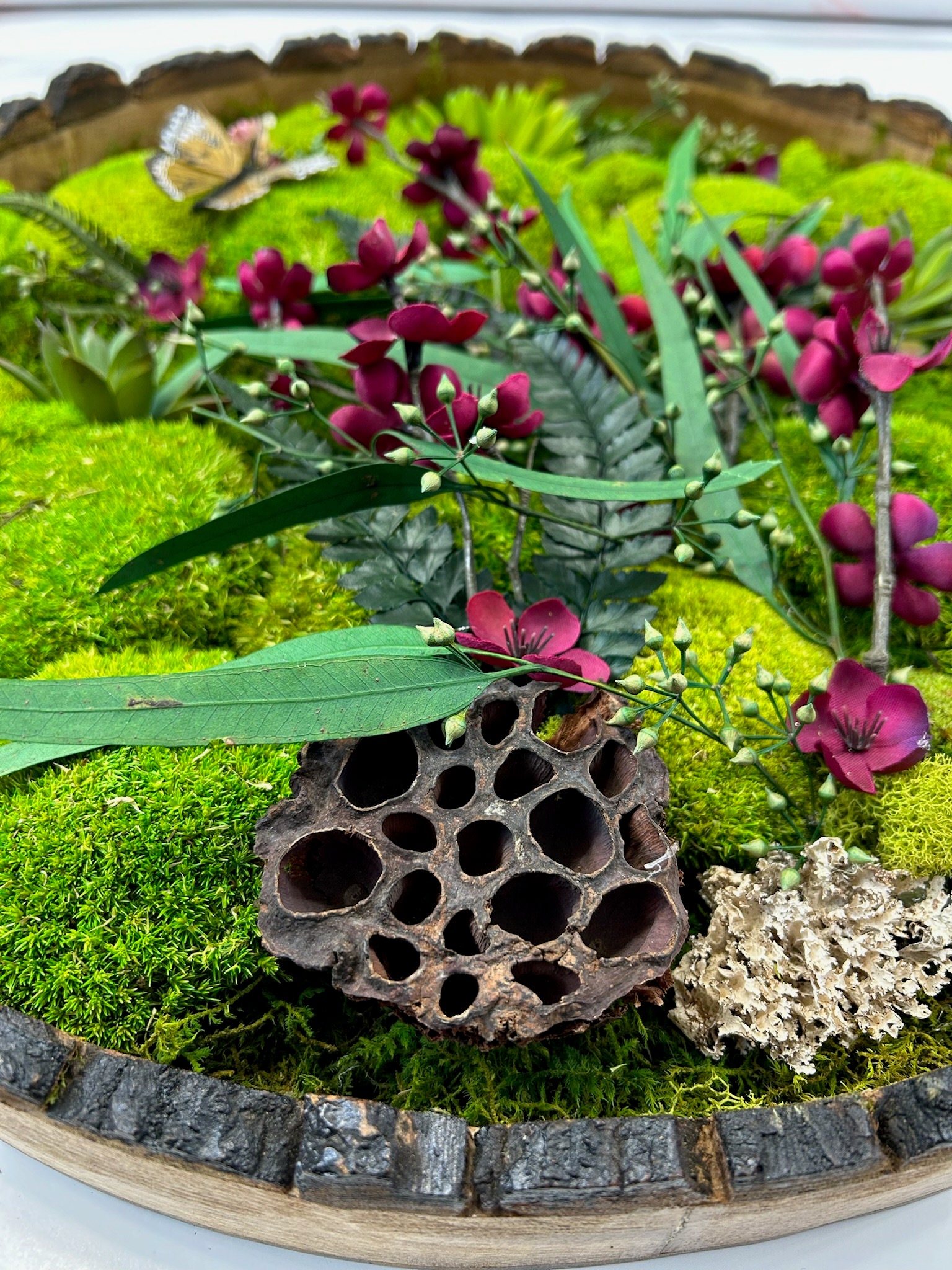 Berry Fairy Garden Moss Art for Home, Office, and Dorm, Circle Moss Art ...