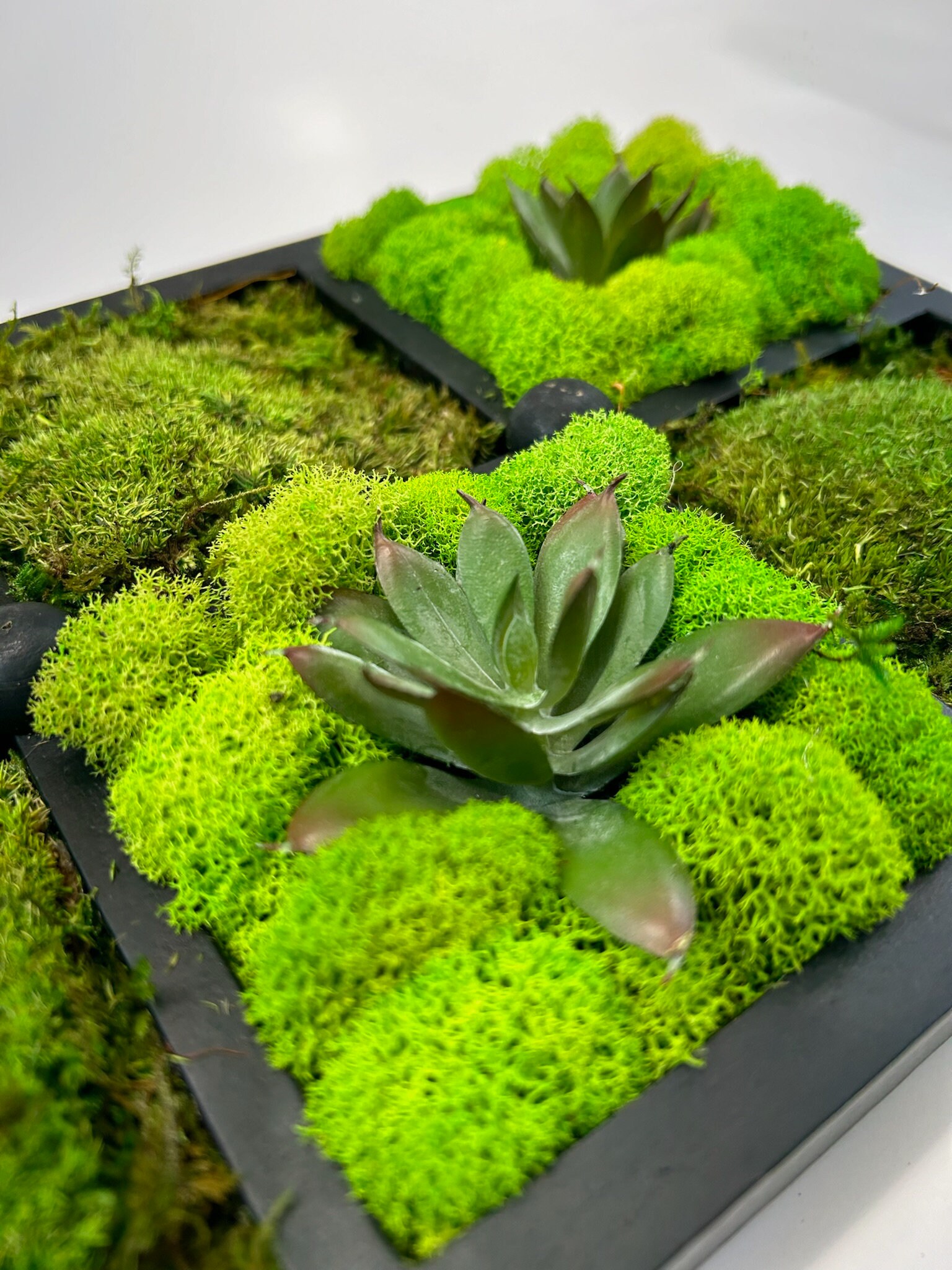 Transom Moss Window for Home, Office, and Dorm, Faux Succulents - Etsy