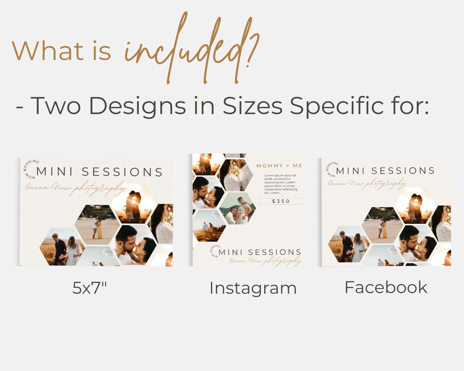 Photography Mini Session Template Photographer Pricing Sheet | Etsy