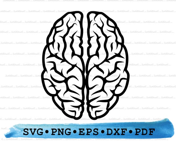 Brain Silhouette Brain Svg Brain png Brain Cricut Anatomy | Etsy