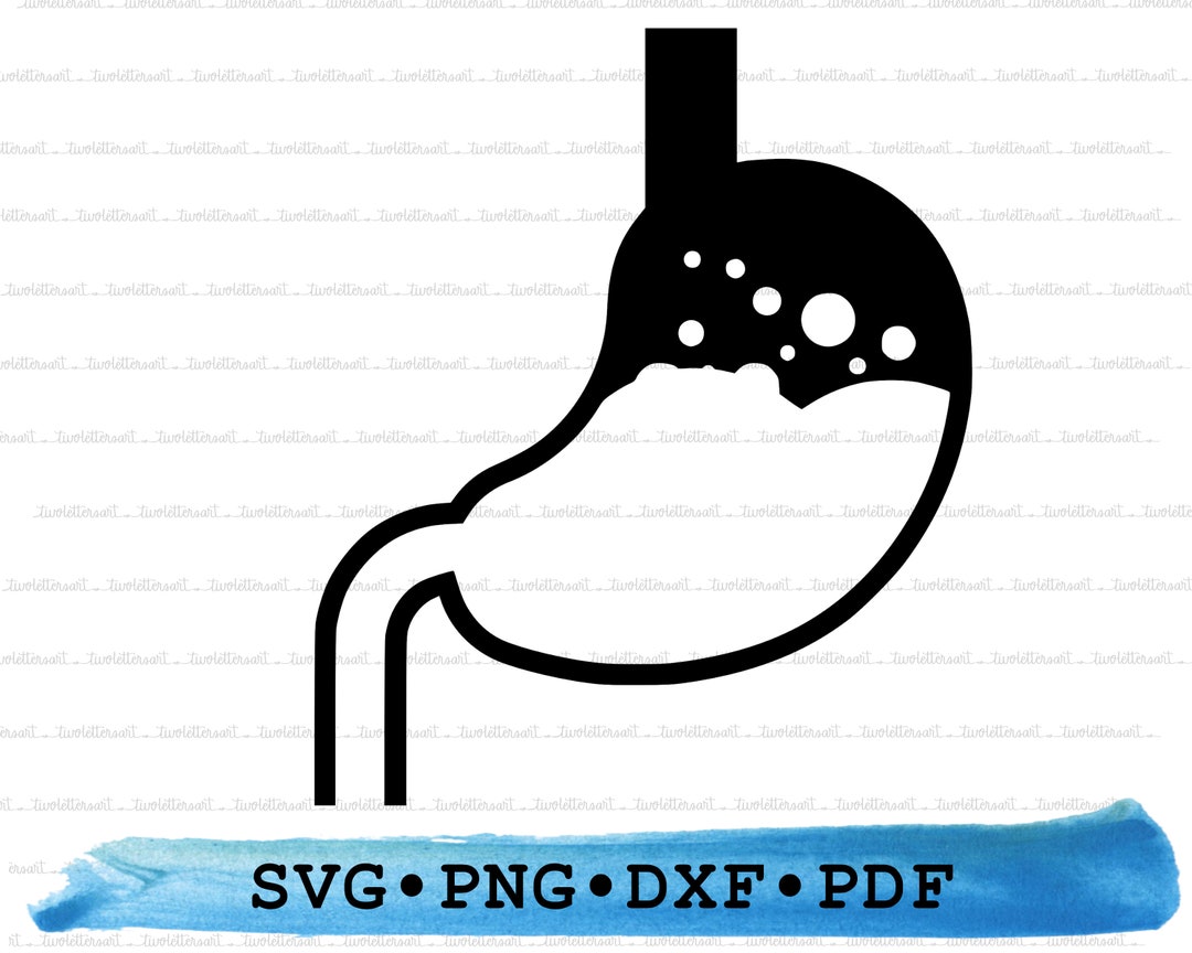 Stomach Svg, Stomach Silhouette, Organ Medicine Anatomy Cricut ...