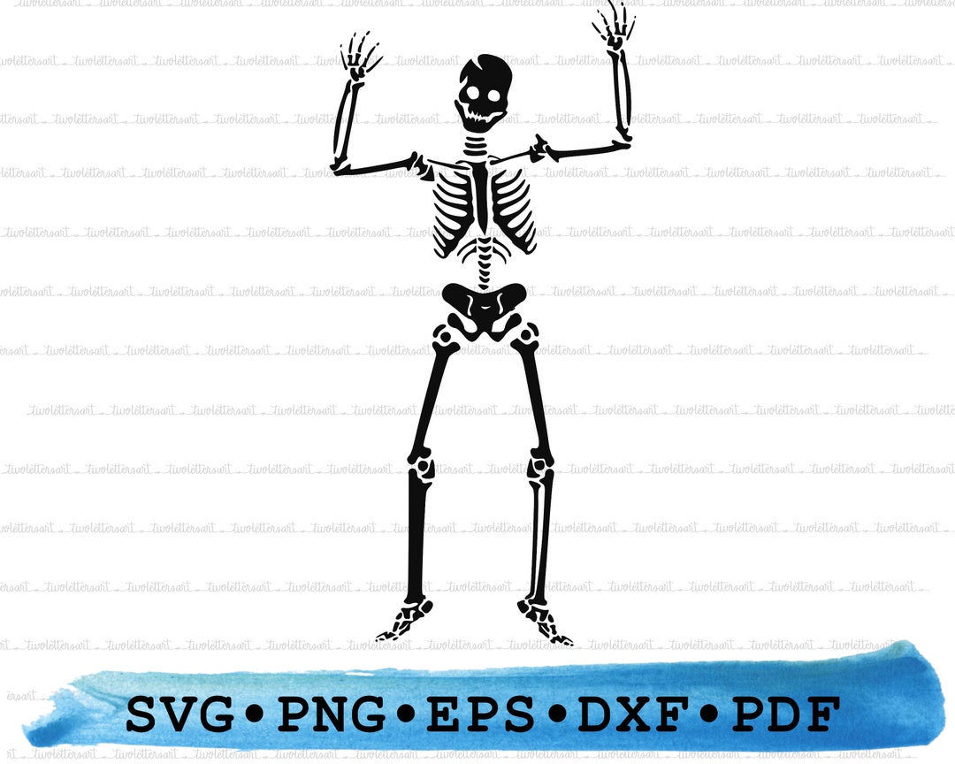Skeleton Svg Dxf Png Eps Pdf – Human Anatomy Silhouette Cut File Cricut ...