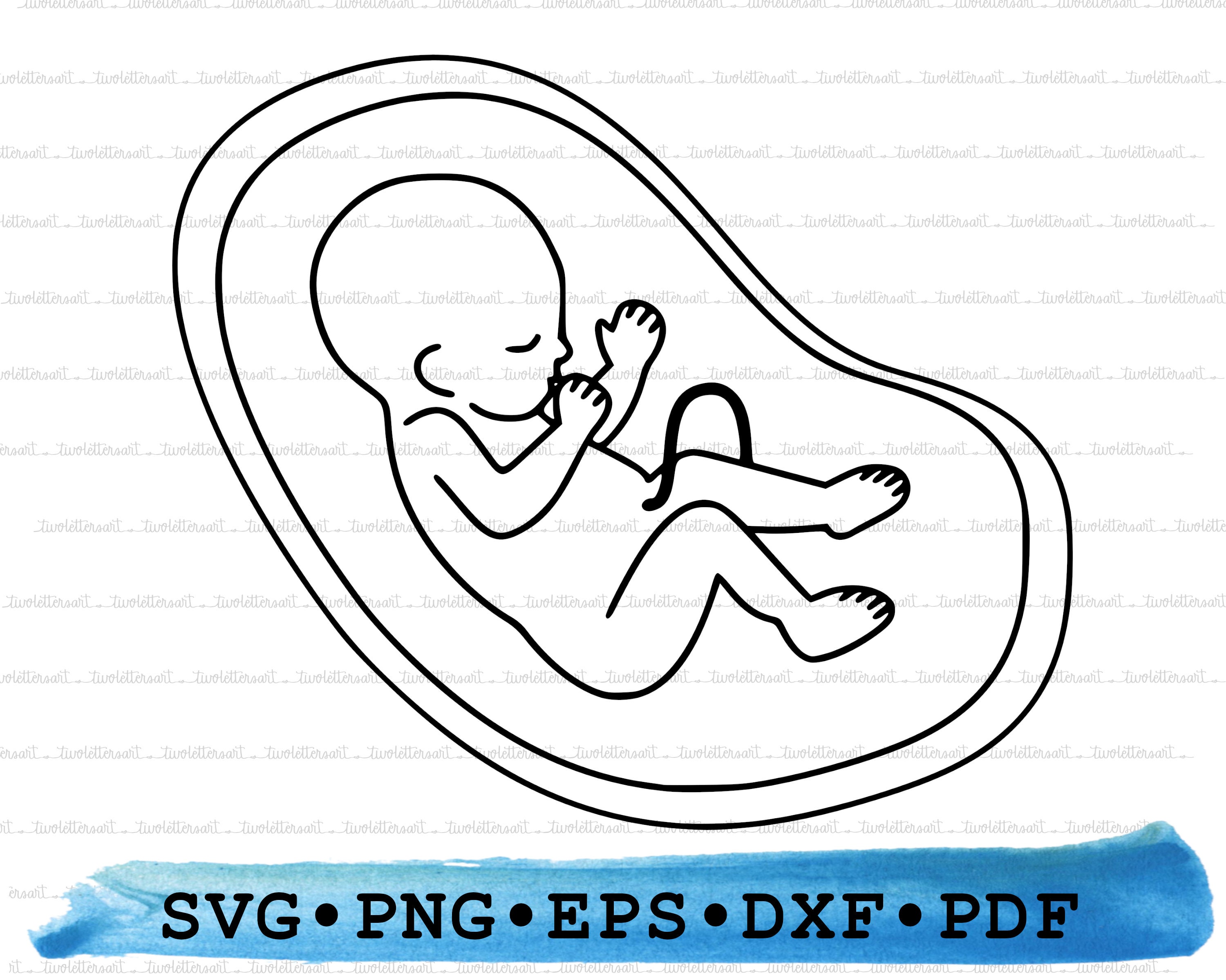 Foetus Svg, Foetus Silhouette, Pregnant Neonate Baby Womb Cricut ...
