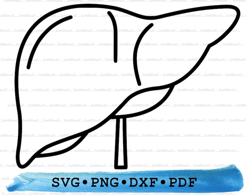 Human Liver Silhouette SVG PNG DXF Pdf – Anatomy Clipart for Cricut ...