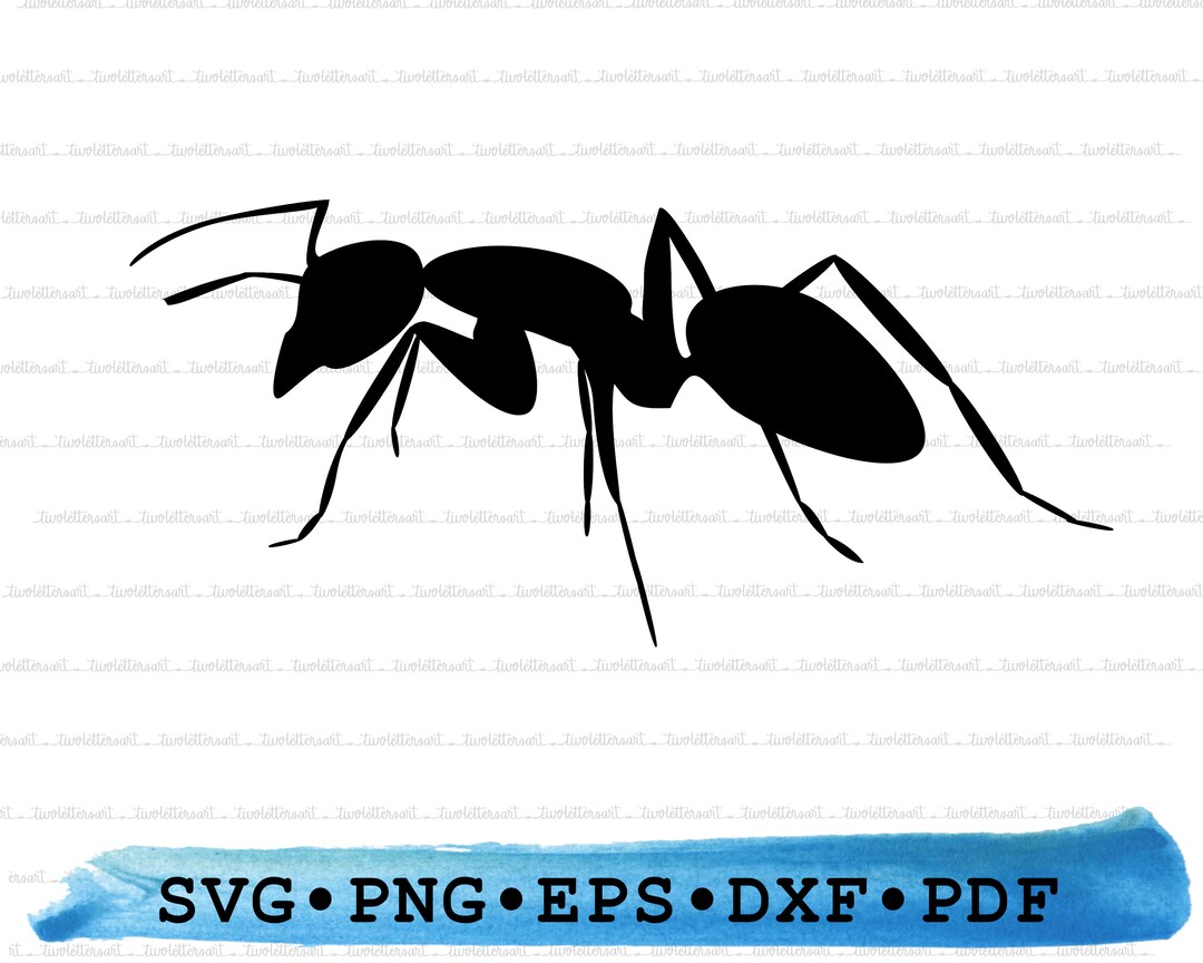Ant Silhouette, Ant Svg, Ant Png, Ant Cricut, Insect Svg, Insect ...