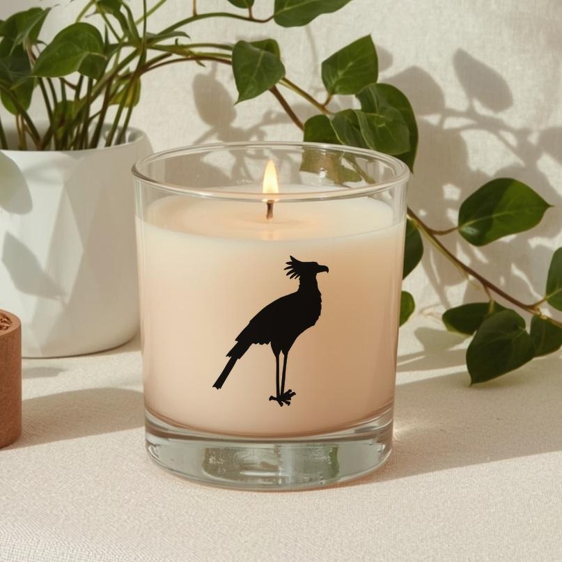 Secretary Bird Svg, Secretary Bird Silhouette, Safari Wildlife Cricut ...