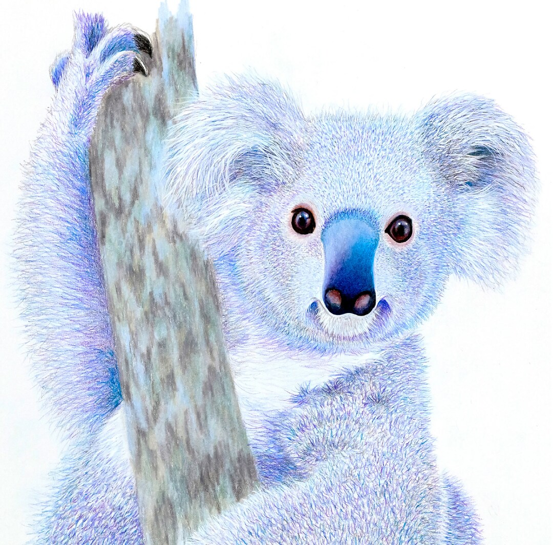 Card Set - Koala - Etsy