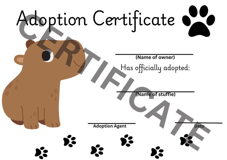 Stuffie Adoption Certificate - Etsy
