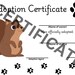 Stuffie Adoption Certificate - Etsy