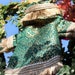 Cassini - Brocade Embroidered Cat/dog Sherwani - Etsy