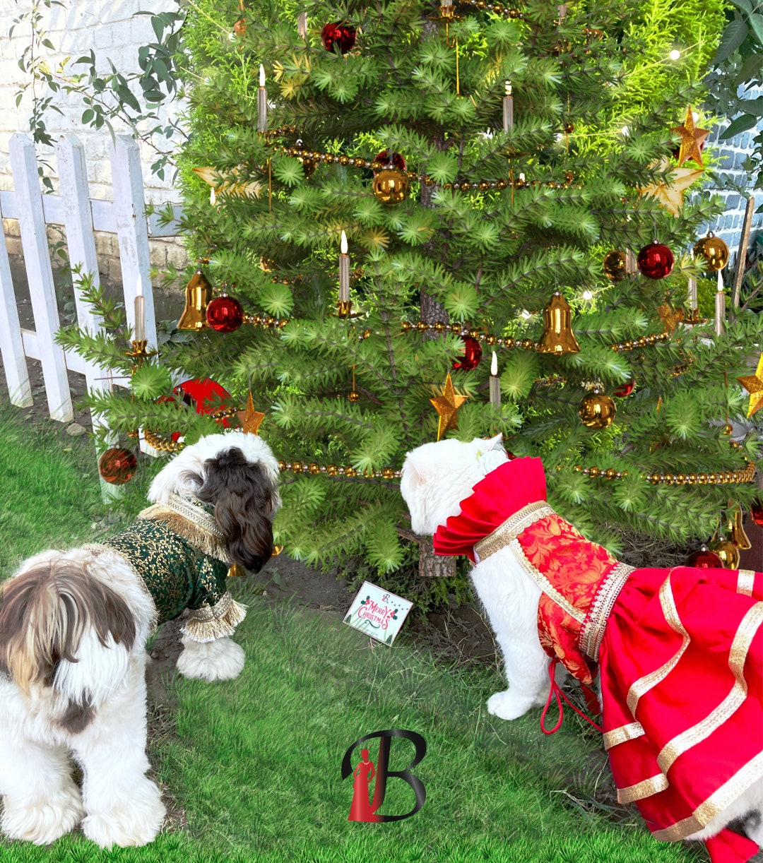 Cassini - Brocade Embroidered Cat/dog Sherwani - Etsy