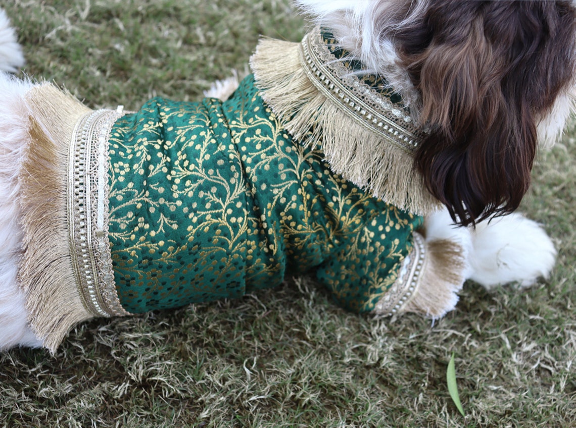 Cassini Brocade Embroidered Cat/dog Sherwani - Etsy