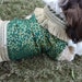 Cassini - Brocade Embroidered Cat/dog Sherwani - Etsy