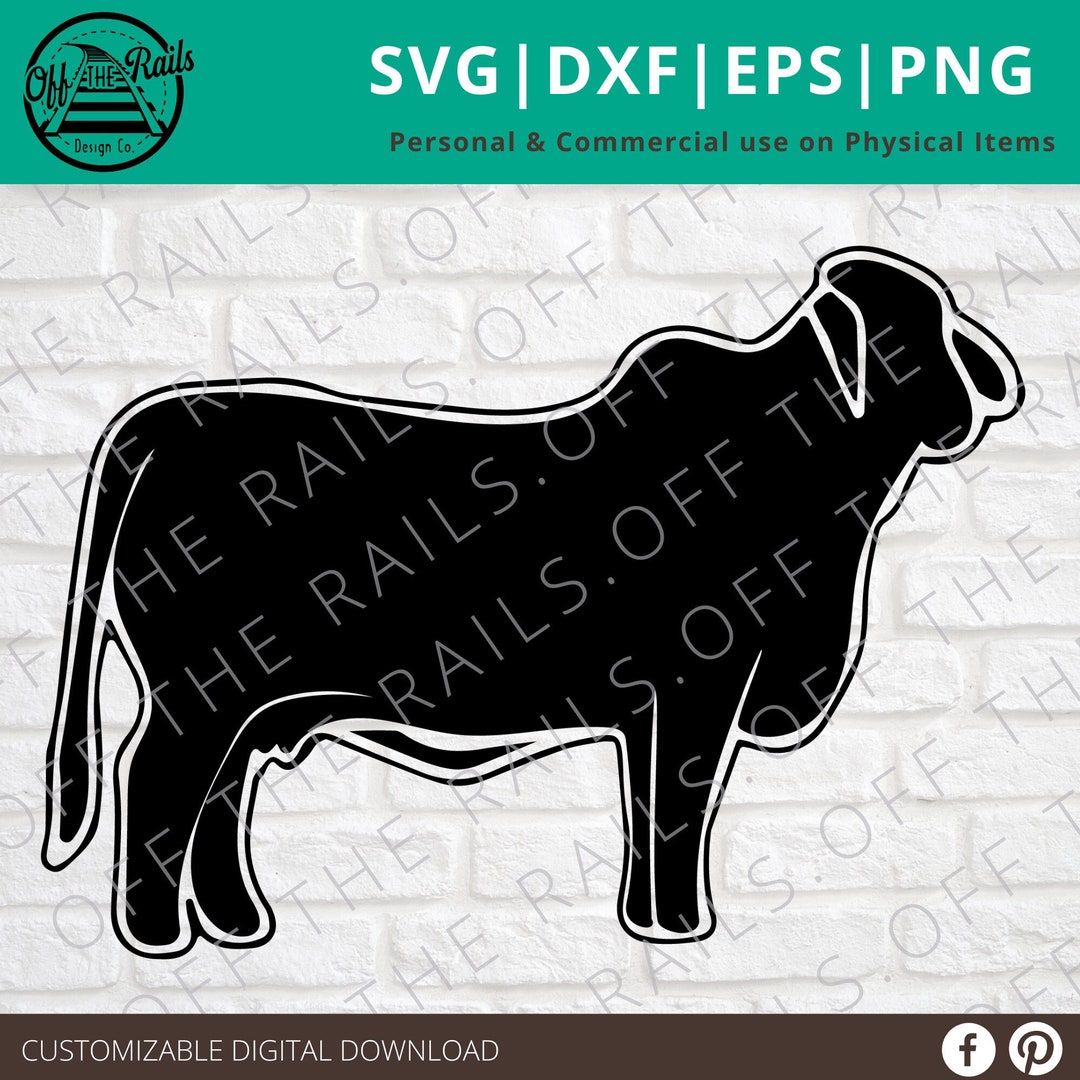 Brahman SVG Show Cattle Svg Beef SVG Show Heifer SVG Dxf, Eps, Png, Svg ...