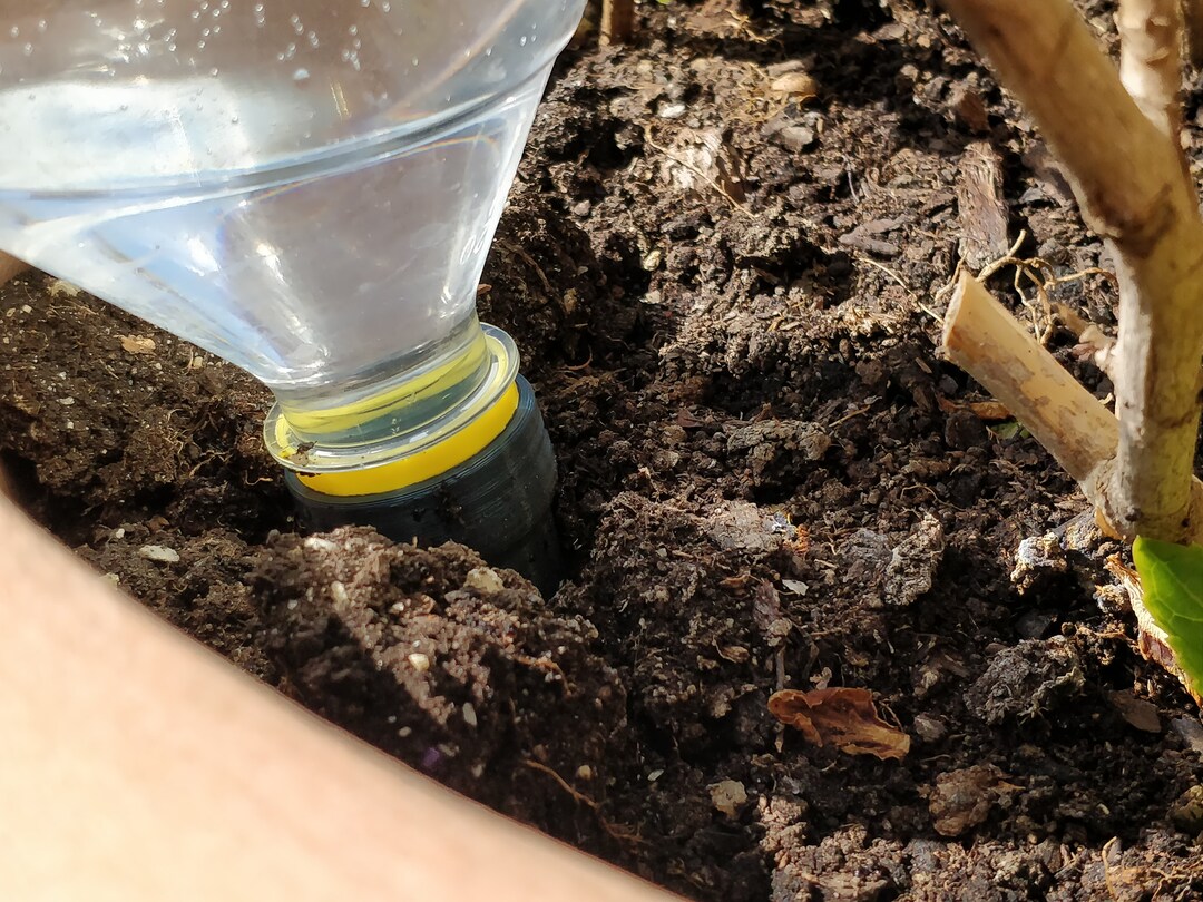 Self Watering Cone for Plastic Drinks Bottle - Etsy