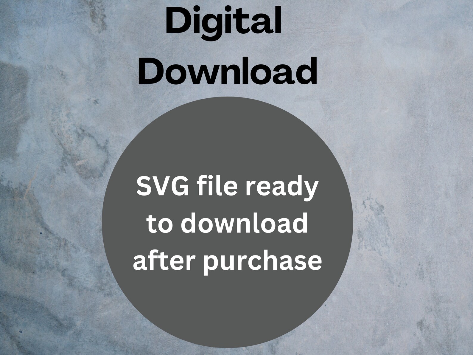 Physical Therapy Anatomy Letter SVG - Etsy