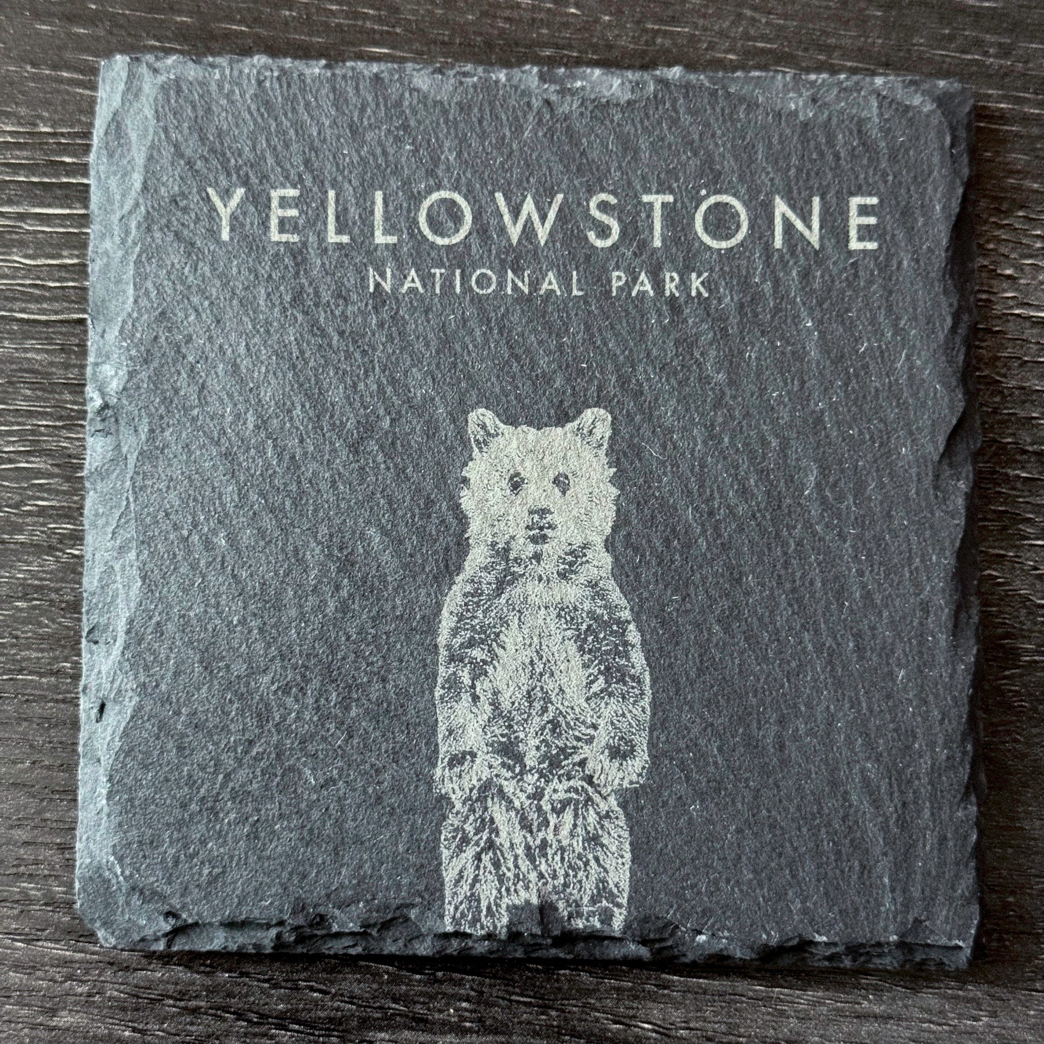 Wildlife Coasters Yellowstone Pack Set of 4/6/8 Square - Etsy