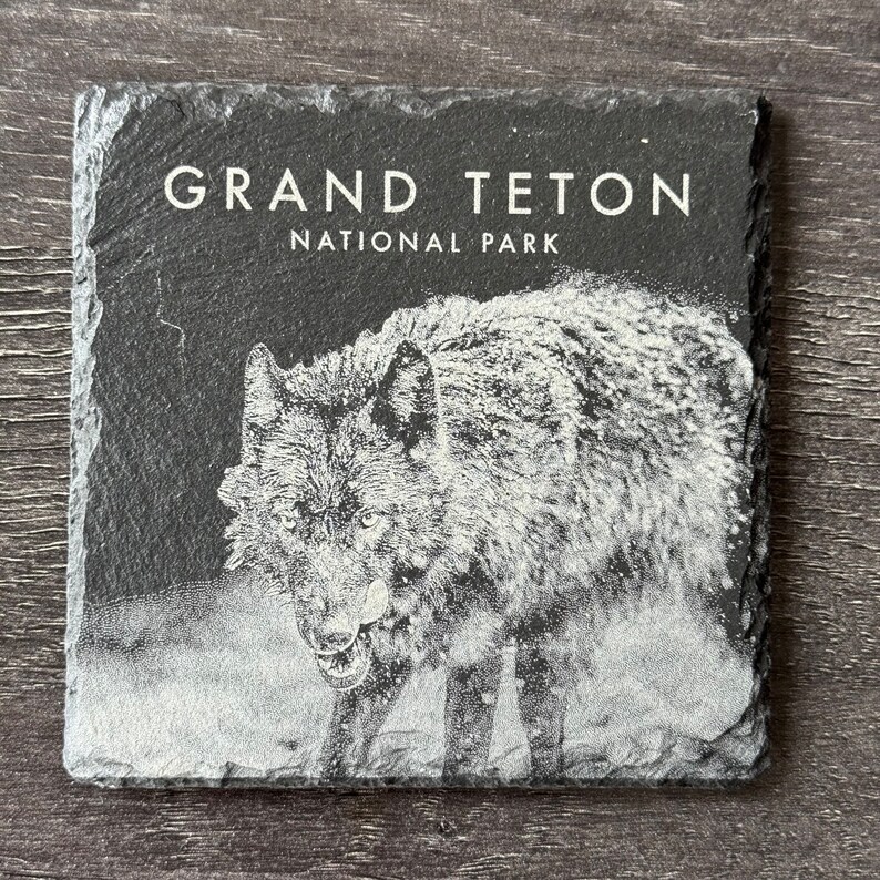 Wildlife Coasters - Black Wolf From the Wapiti Pack - Etsy